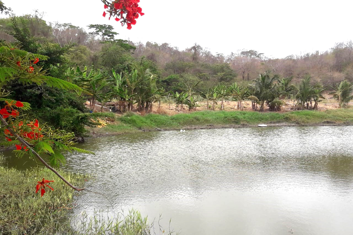 Levera National Park - Caribbean Birding Trail