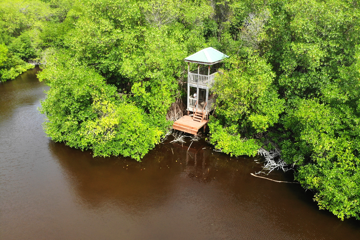 Levera National Park - Caribbean Birding Trail