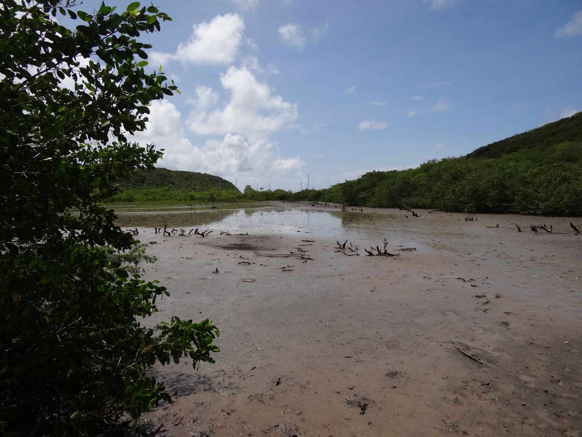 Mt. Hartman National Park - Caribbean Birding Trail