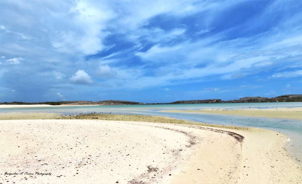 Scrub Island - Caribbean Birding Trail