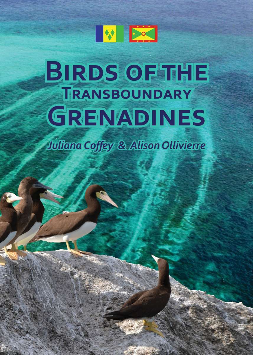 Grenada - Caribbean Birding Trail