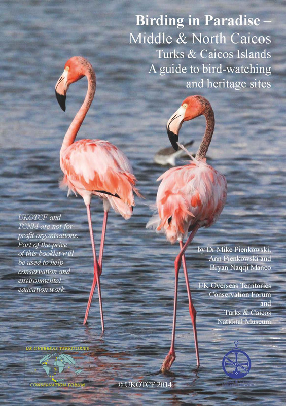 Turks and Caicos - Caribbean Birding Trail