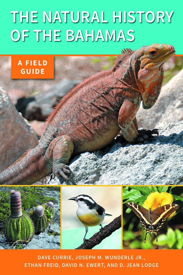 Bahamas - Caribbean Birding Trail