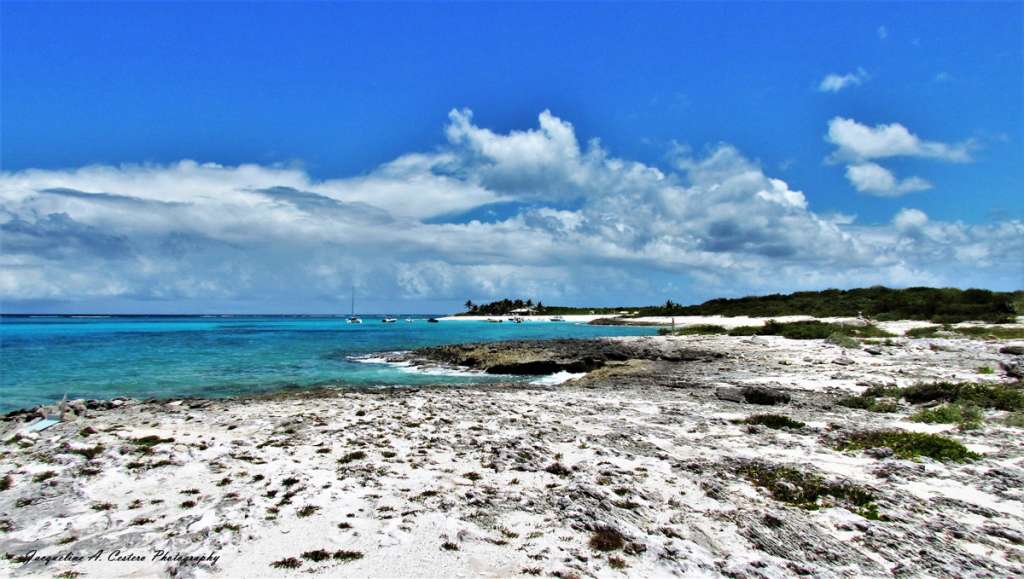 Prickly Pear Cays - Caribbean Birding Trail
