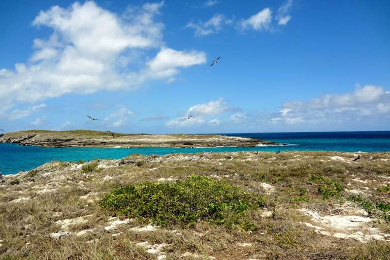 Prickly Pear Cays - Caribbean Birding Trail