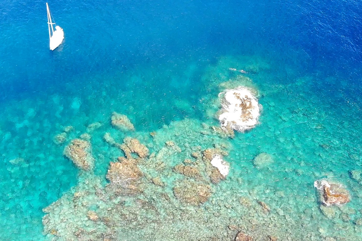 Diamond Rock - Caribbean Birding Trail