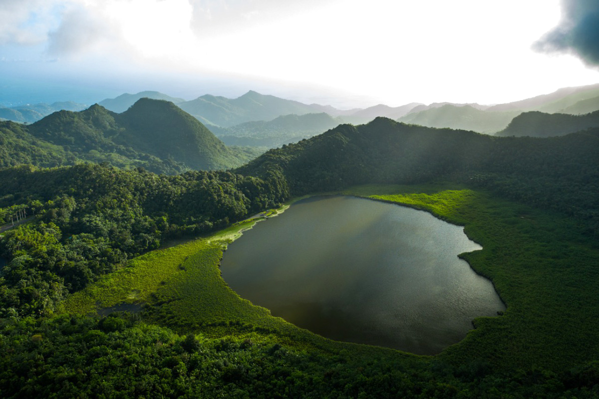 Grand Etang National Park - Caribbean Birding Trail