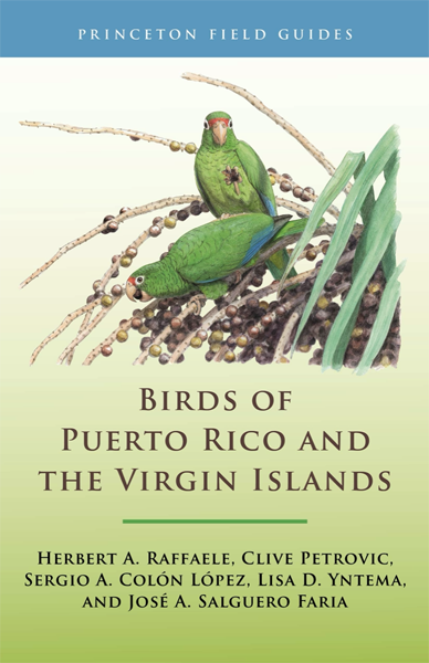 Jobos Bay National Estuarine Research Reserve - Caribbean Birding Trail